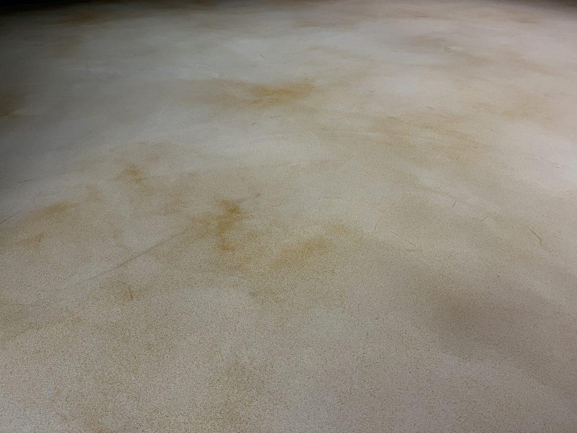 New Floors, New Exhibits: Time to Visit The Stark Center