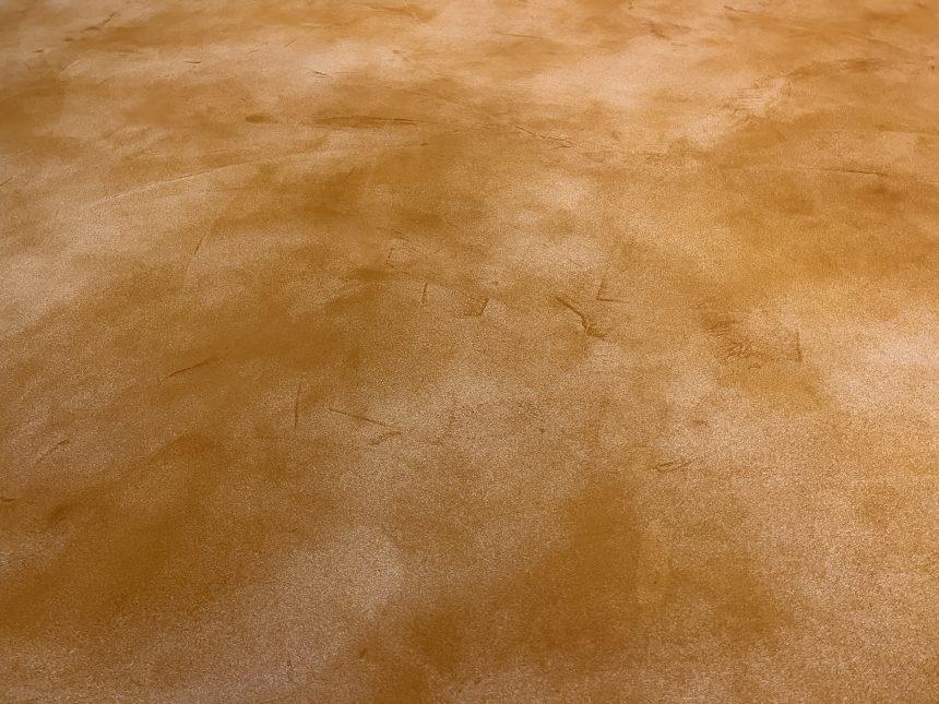 New Floors, New Exhibits: Time to Visit The Stark Center
